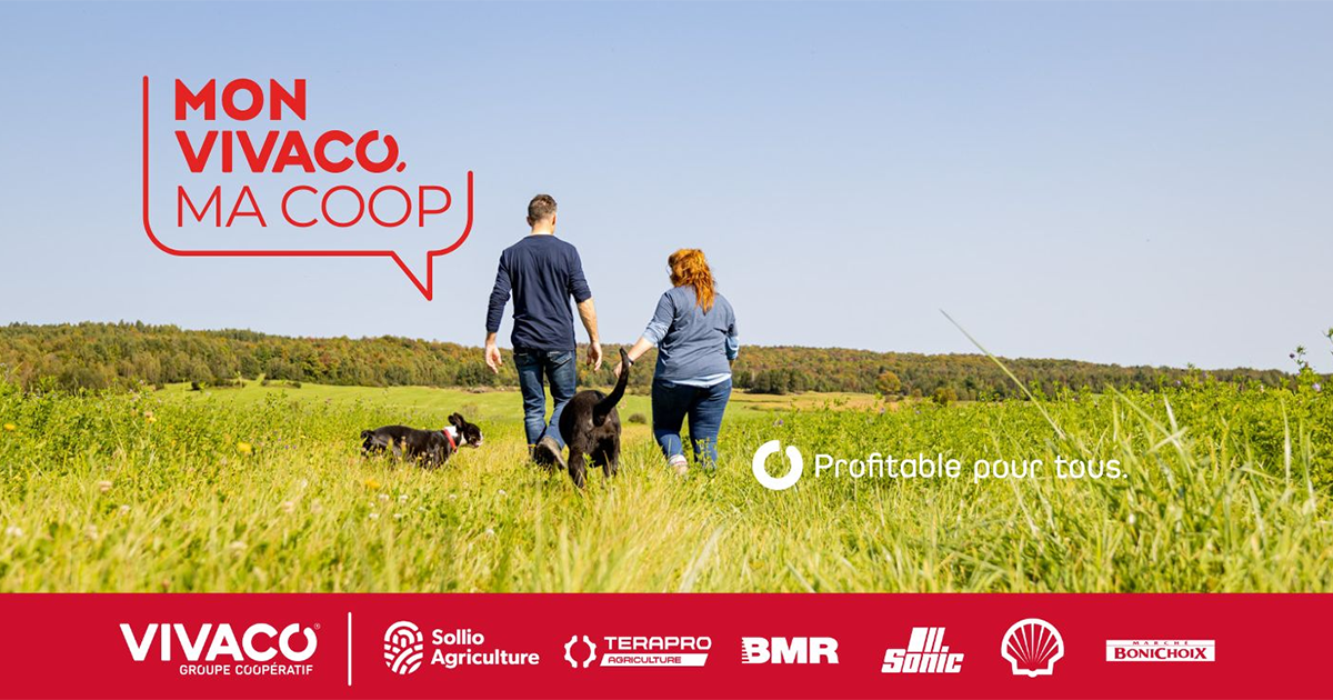 VIVACO Cooperative Group